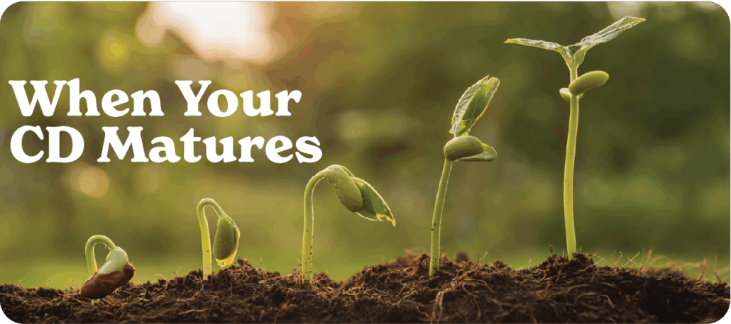 When Your CD Matures | United Fidelity Bank